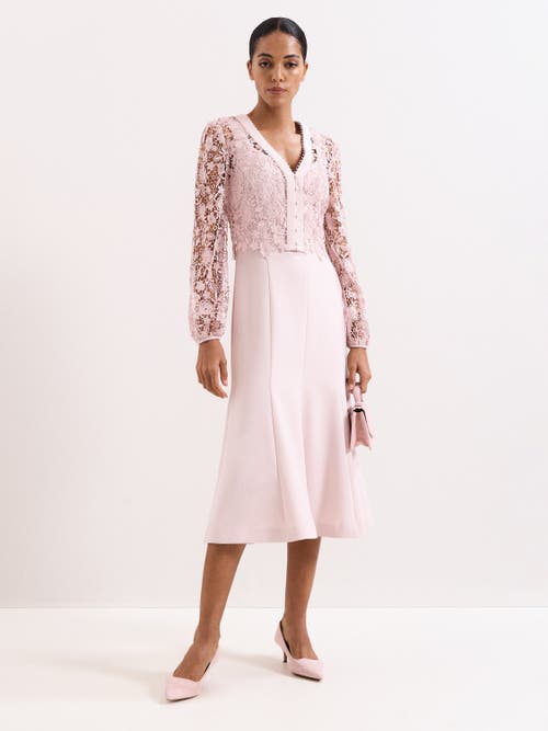PHASE EIGHT Fit & Flare Lace Midi Dress